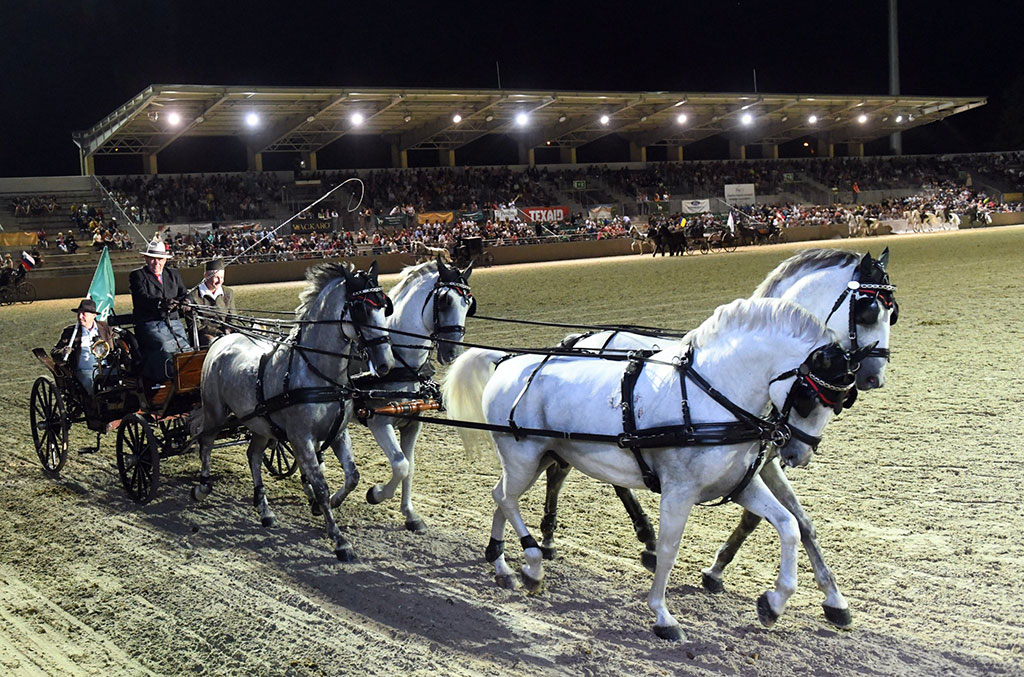 "A Lipicai – Nemzetközi Történelmi Lovas Gála" - Képek - Állami ...